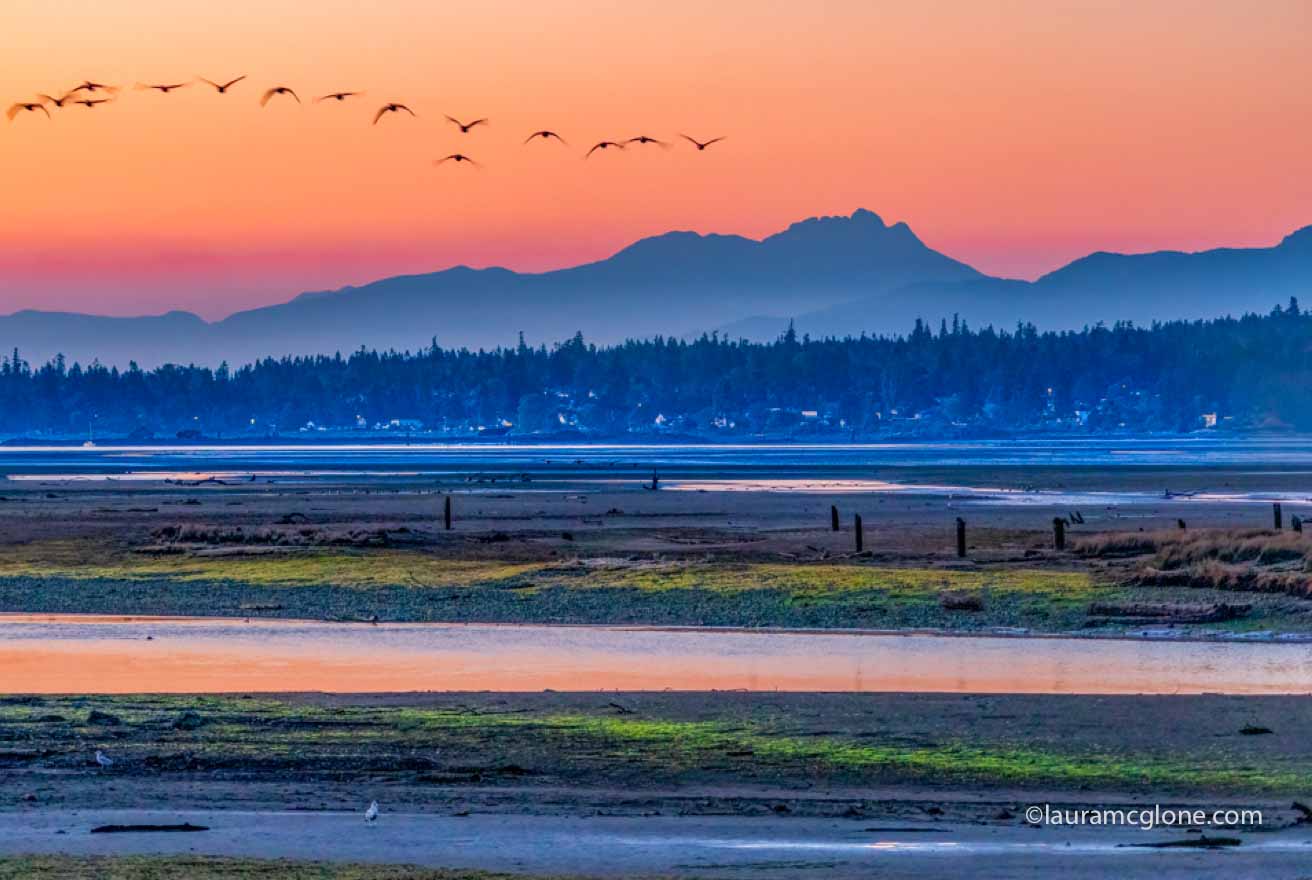 Events & Activities in Courtenay & Cumberland